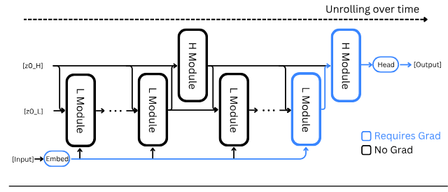 HRM uses the L Module (think of these as gamma waves) to process information on a local level ...